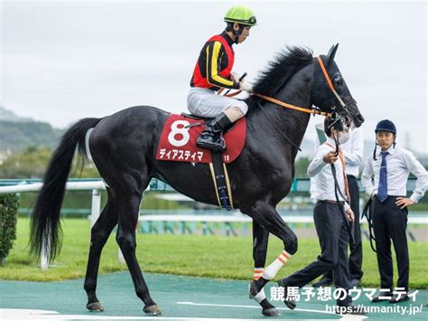 【有名人の予想に乗ろう！】ステイヤーズs2022 年末の中山を彩る日本最長距離の平地重賞！あの人の見解は！？｜競馬ニュース｜競馬予想のウマニティ