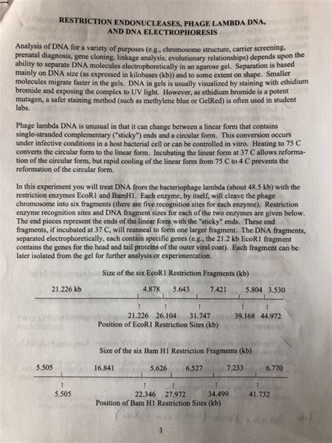 restriction endonucleases phage lambda dna and dna