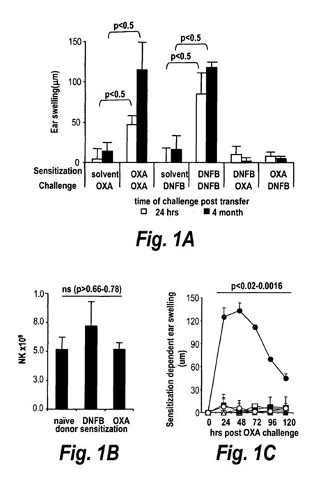 Todays Patent Modulation Of Nk Cell Antigen Specific Effector Activity By Modulation Of Cxcr6