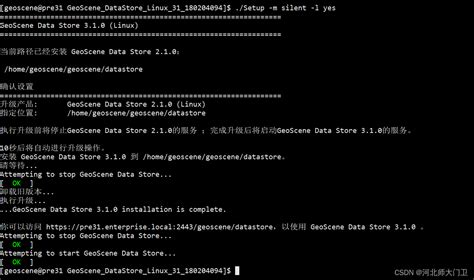 Geoscene Enterprise21升级至31版本linux操作手册 Csdn博客