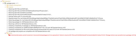 Random Error Failed To Resolve SDK Package Version Package Restore Was Successful But A