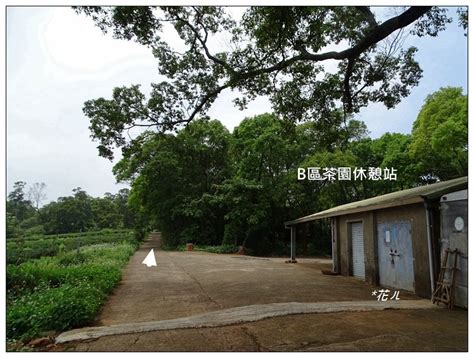 三義 慈濟茶園基石 健行筆記
