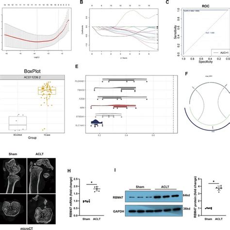 Construction Of A Dysregulated Gene Co Expression Module In