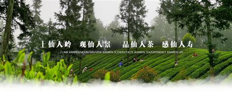 贵州凤冈县仙人岭锌硒有机茶业有限公司绿茶红茶锌硒有机茶业仙人岭茶叶