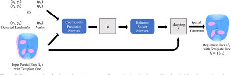 Figure 7 From Deep Learning Based Quasi Conformal Surface Registration For Partial 3d Faces