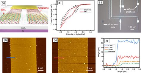 A A Schematic Illustration Of The Concept Of This Work Showing Ws2 2d