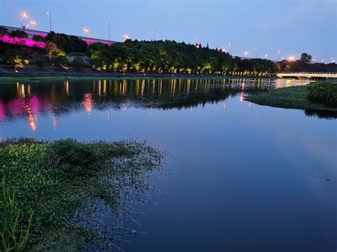 河边夜景 牧人池塘 dba杂谈录