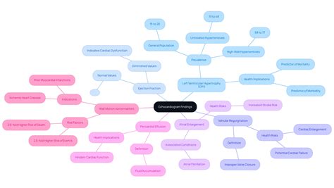 Example Of Echocardiogram Report Key Components And Insights