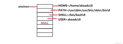 【linux】环境变量 Ew帮帮网