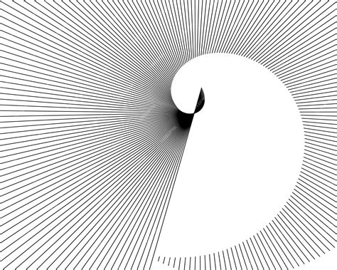 Элементы дизайна рекламных флаеров белый фон с элегантными графическими солнечными линиями