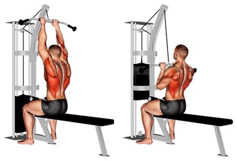 Latziehen Zur Brust Top 5 Übungen Inkl Bilder Videos