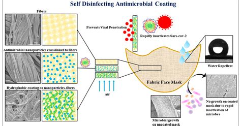 Biopolymer Coating Imparts Sustainable Self Disinfecting And Antimicrobial Properties To Fabric
