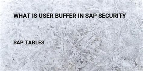 what is user buffer in sap security table in sap