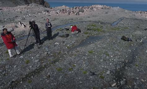 penguin counting with machine learning institute for experiential robotics