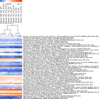 Hierarchical Clustering Analysis HCL After 18 Days Of Feeding Fish Download Scientific
