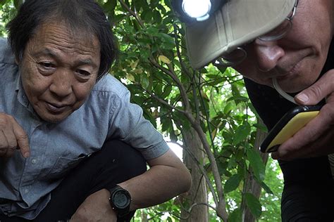 うんこと死体の復権 作品情報 映画 Com