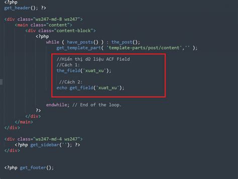 Hướng Dẫn Sử Dụng Plugin Advanced Custom Fields Trong Wordpress
