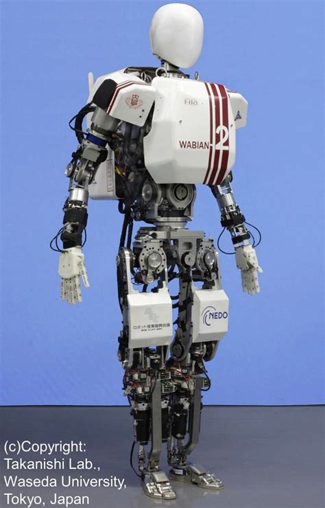 Designing A More Human Like Lower Leg For Biped Robots Ieee Spectrum