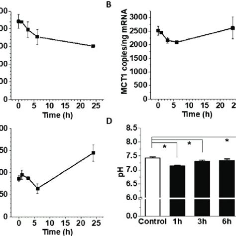 Gene Expression In Huvec Co Culture With Muscle Cells Confluent Huvec