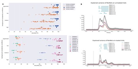 a critical test of deep convolutional neural networks ability to