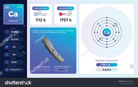 Calcium Properties Electron Configuration Vector Illustration Stock Vector Royalty Free