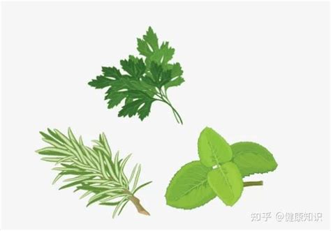 中医治疗血友病如何兼顾标和本？ 知乎