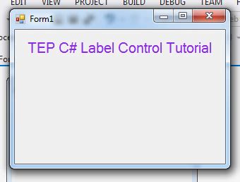 C Label Control User Interface Labels Engineering Projects