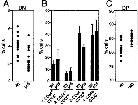 Enhanced Class IA PI3K Activation Increases DN Cell Differentiation A