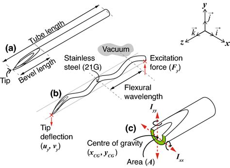 definition of the flexural wavelength and setup of finite element