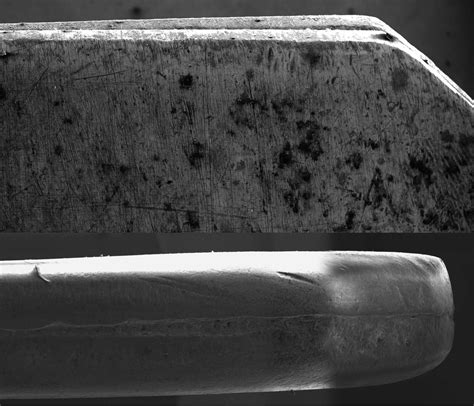 Leeuwenhoek Microscopes Under The Sem 2024 Wiley Analytical Science