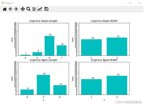 Python 读取csv文件并输出柱状图以iris数据集为例csv数据动态柱状图代码 Csdn博客