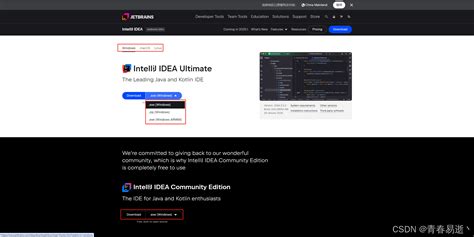 Intellij Ideaidea自动生成序列serializable Csdn博客