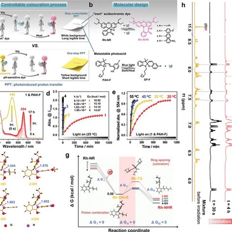 Potential Applications Of LCMs A Schematic Illustration Of The Download Scientific Diagram