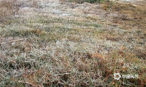 百色凌云出现霜冻天气 广西高清图片 中国天气网