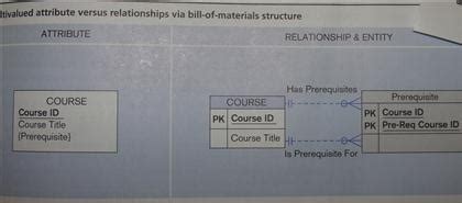 Solved For Each Of The Following E R Diagrams From Chapter Chegg Com