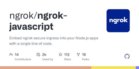 Github Ngrokngrok Javascript Embed Ngrok Secure Ingress Into Your