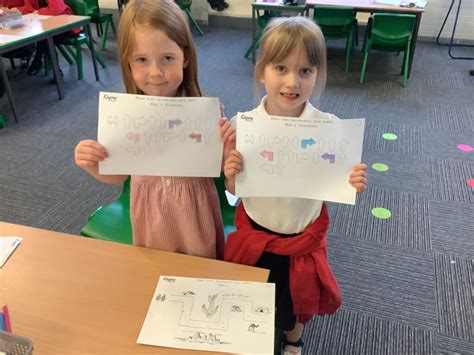 Debugging Carcroft School