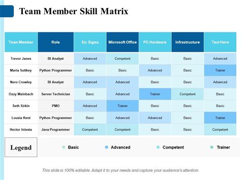 Team Member Skill Matrix Ppt PowerPoint Presentation Layouts Graphics Design