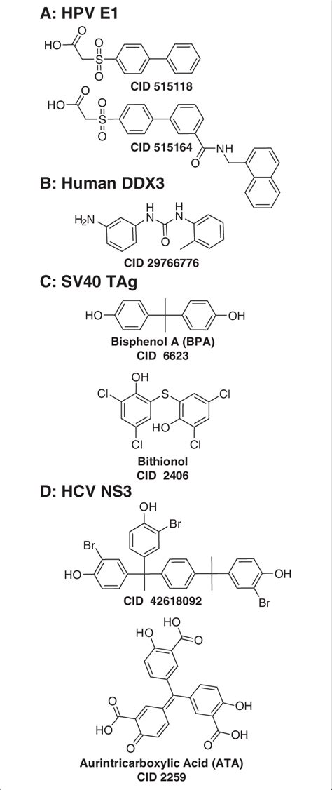 Polyphenyl Helicase Inhibitors A Inhibitors Of The Human