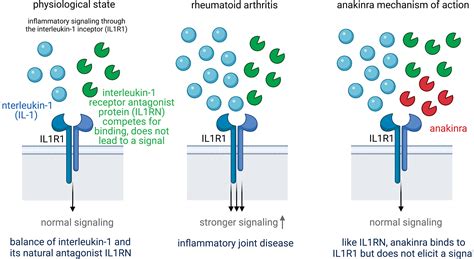 Plasma Proteome Analyses In Individuals Of European And African Ancestry Identify Cis Pqtls And