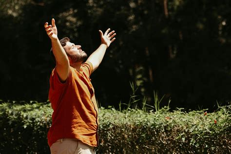 개인적 성장 걱정 없는 고요한 고요함 공원 구체화된 긍정적 에너지 남자 낮 녹지 따뜻한 마음가짐 명상 무기 제기 반사 상쾌한 셔츠 수염 실외