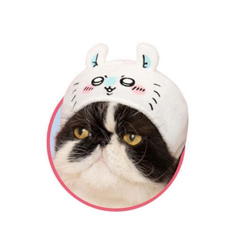Chikawa Cat Cute Kawaii Neko Dress Up Hat Kitan Club Costume Hat Ebay