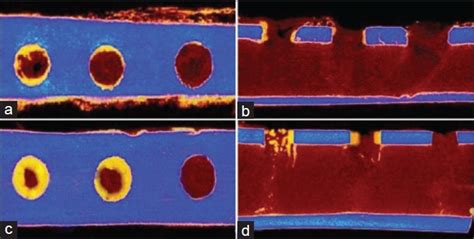 Microcomputed Tomography Sections Of The Goat Metacarpal Bones Showing Download Scientific