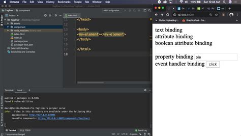 Html Components Folder Not Showing In Lit Element Stack Overflow