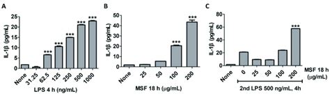 Il 1β Expression In Thp 1 Cells By Msf And Lps Treatment A Thp 1