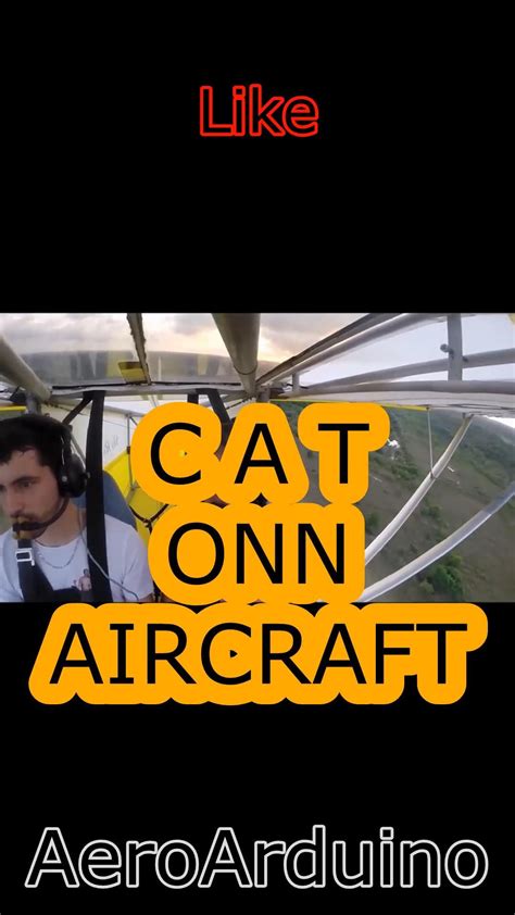 Helicopter Without License To Fly Aviation Fly Aeroarduino Artofit