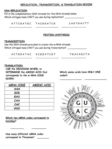 Answered Replication Transcription And Bartleby