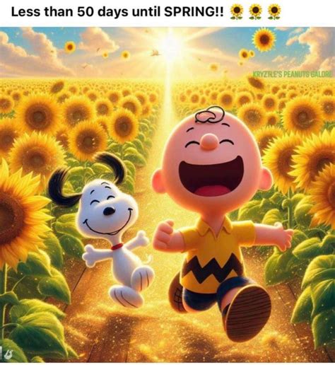 Dr Maria Sette Posted On Linkedin