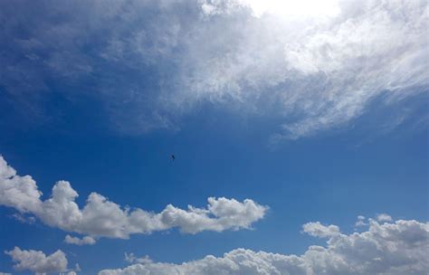 하늘과 구름을 날고있는 새 하늘과 날으는 새들의 풍경 구름 위를 날아 다니는 새 0명에 대한 스톡 사진 및 기타 이미지 0명 공중 구름 Istock