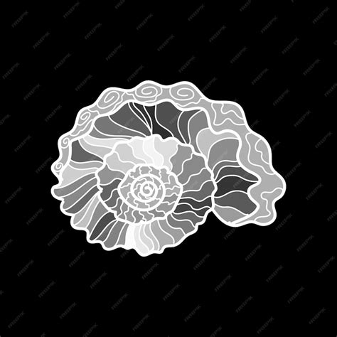 검은 배경에 벡터 일러스트 레이 션 회색 색상 쉘 손 라인 컨투어 프리미엄 벡터